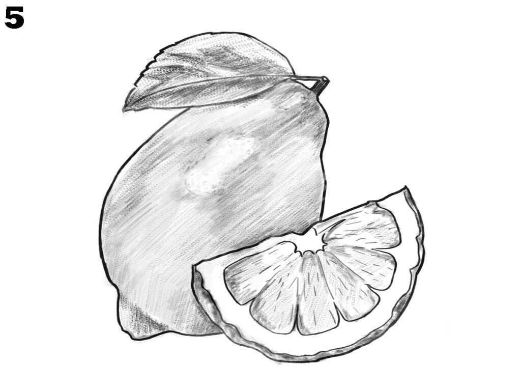 How To Draw Lemon In 5 Easy Steps